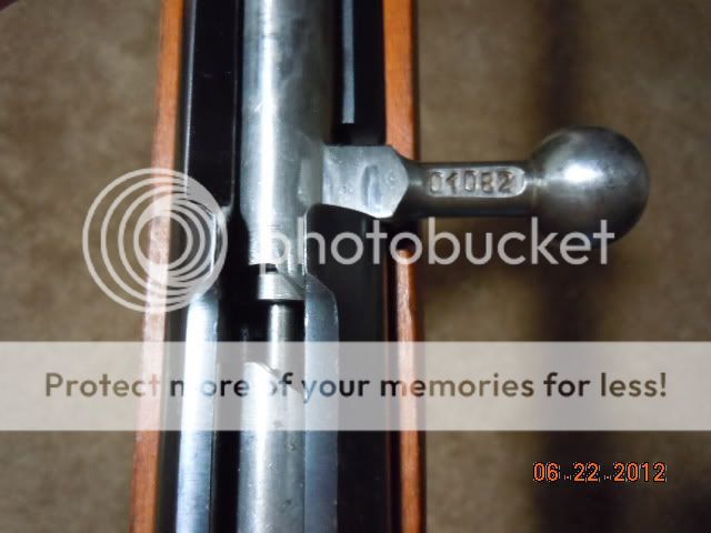 Baby Polish Mosin | Gunboards Forums